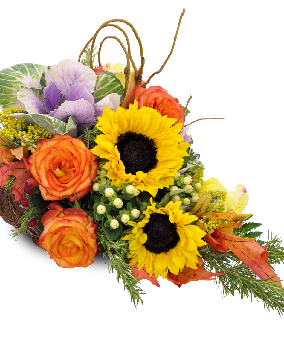 Cornucopia History - Mission Viejo