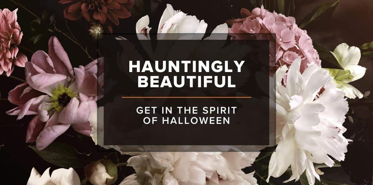 How to Master the Art of Spooky Flower Arrangements for Any Haunted Mansion - Mission Viejo