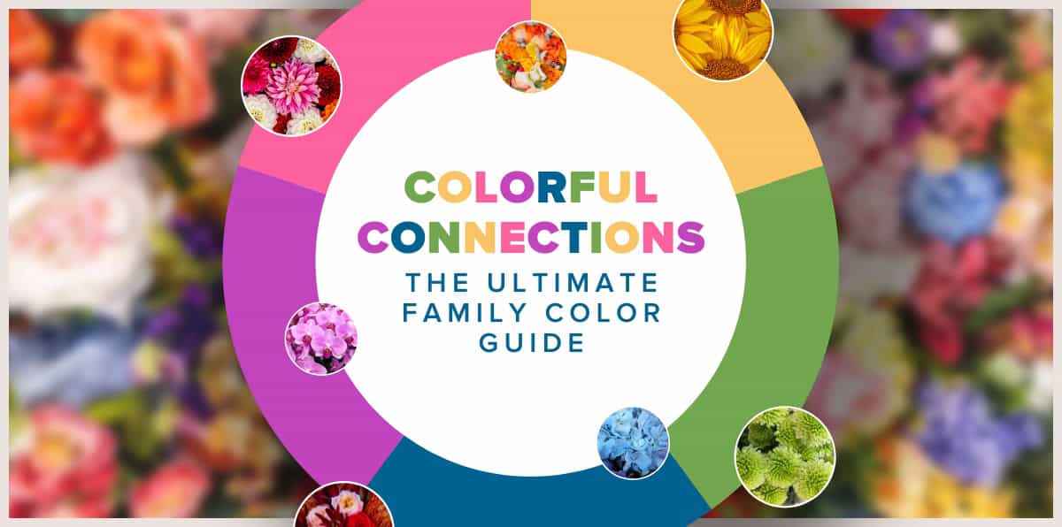 Color Their World: A Guide to Sending the Perfect Floral Message to ...